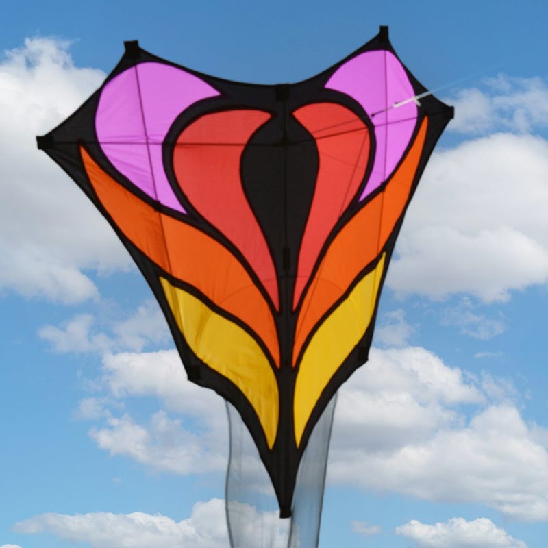 Brasington Between 1